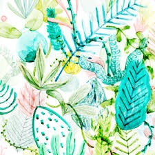 Charlotte Rayner (charlotterayner) profile | Padlet