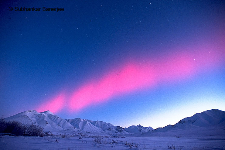 Angeline Kumar (angelineriya) profile | Padlet