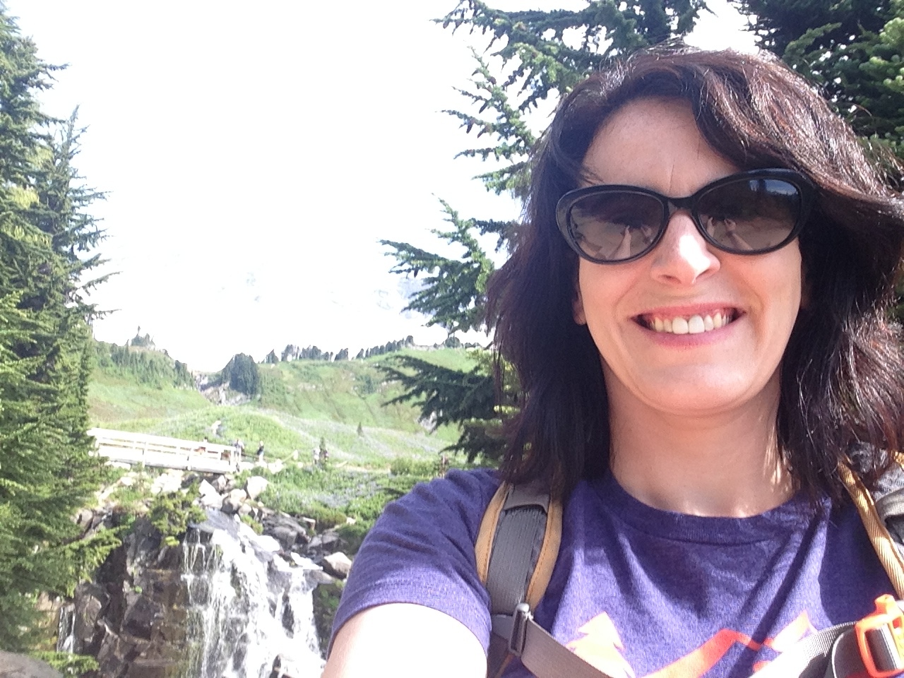 Lisa Lindgren (llindgren) profile | Padlet