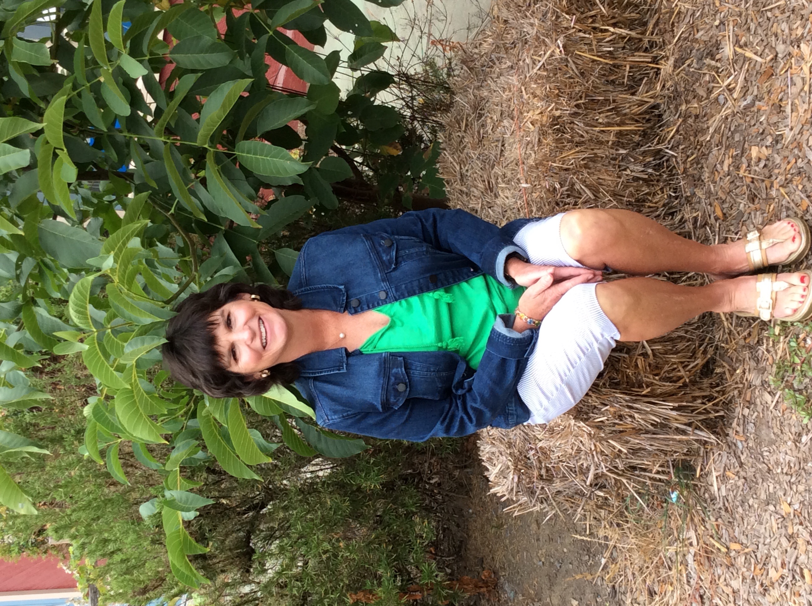 Sandra Larsen (slarsen6) profile | Padlet