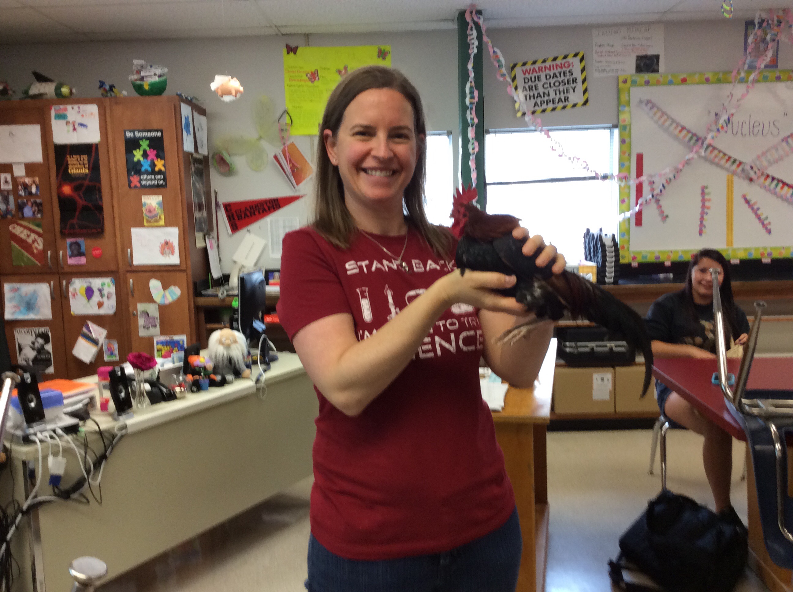 Cindy Stoffregen (stoffregenc) profile | Padlet