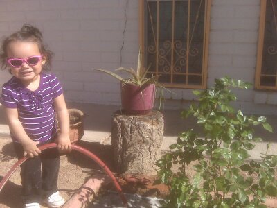 Yadira A. Robles (yroble) profile | Padlet