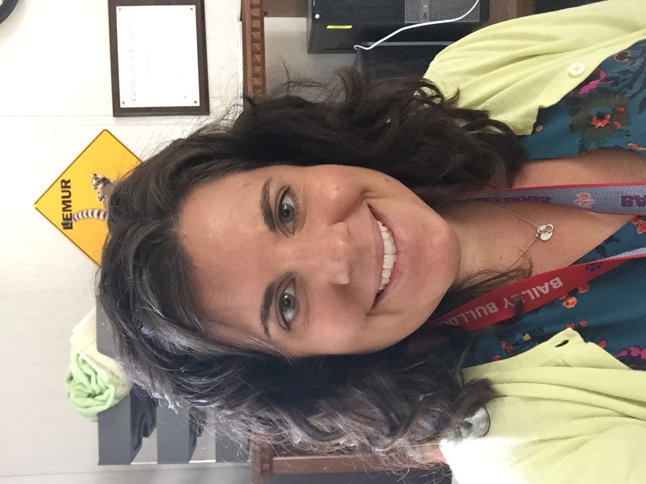 Bethany Bauer (bbauer4) profile | Padlet