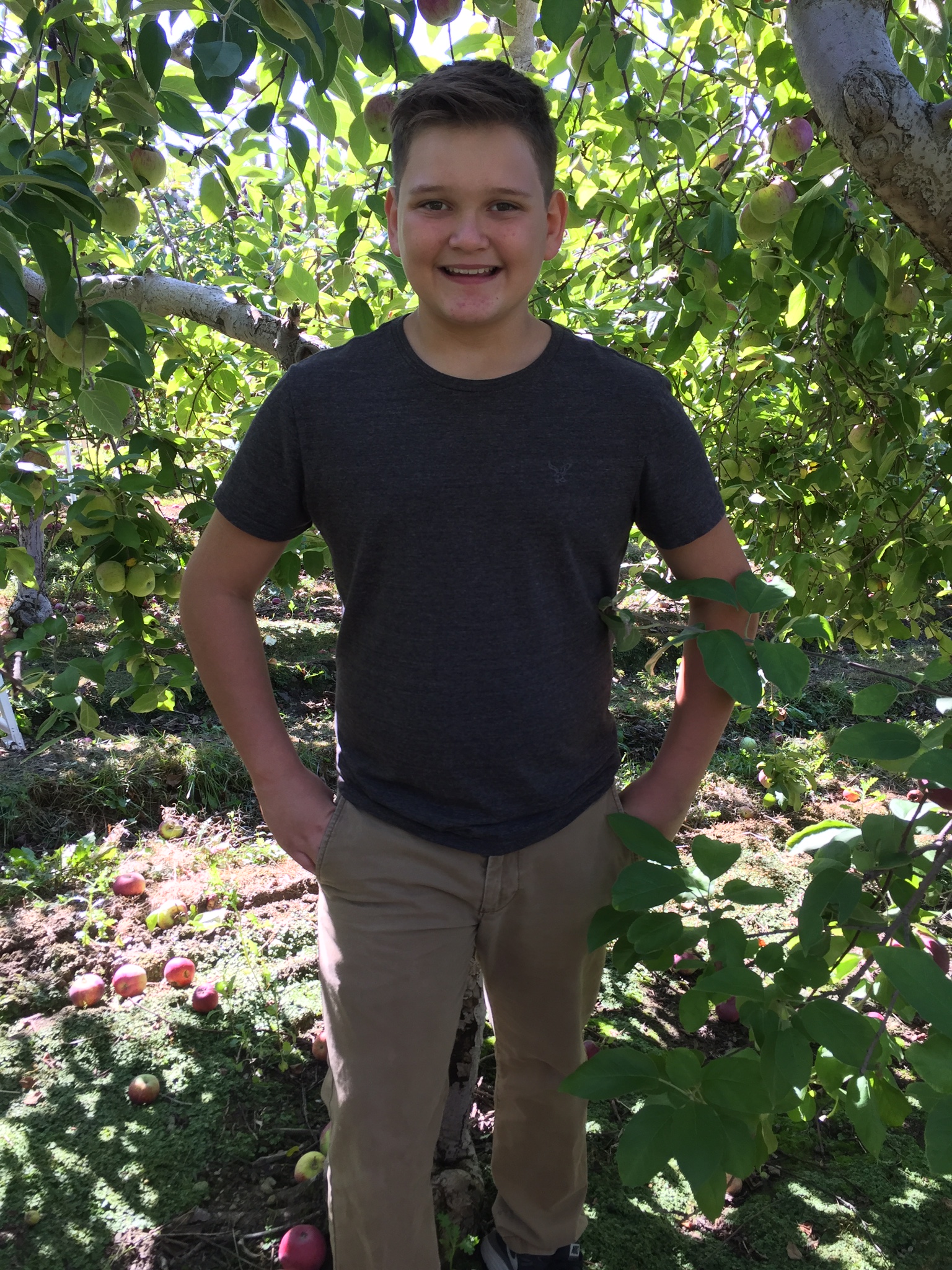 Samuel Provost (sprovost) profile | Padlet