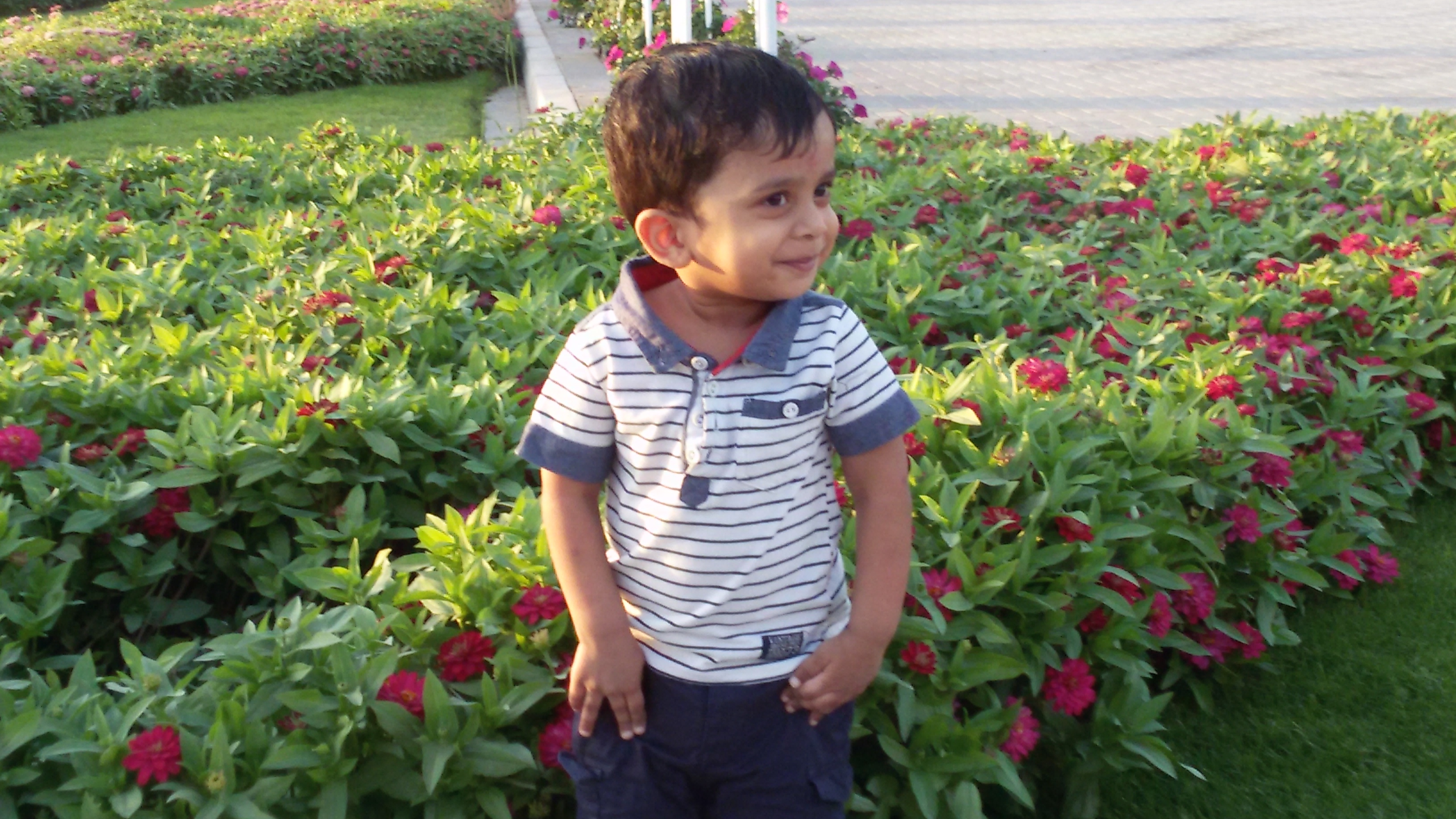 Reja fathima (rejafathima) profile | Padlet