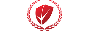 Backcheckgroup (Backcheckgroup) profile | Padlet