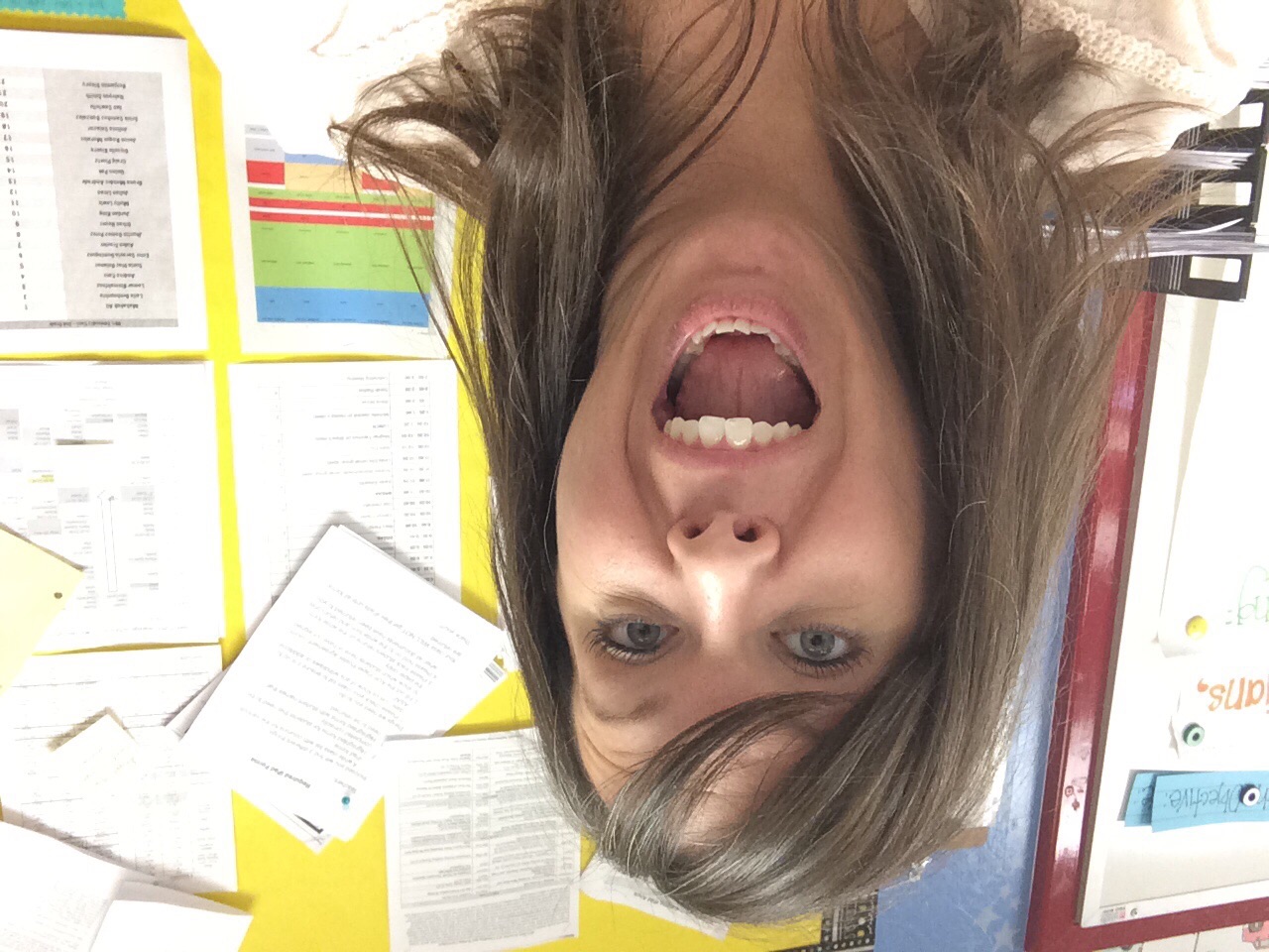 Sara Edmonds (sara_edmonds) profile | Padlet