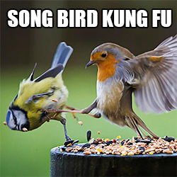 Logan Riemer (lmriemer) profile | Padlet