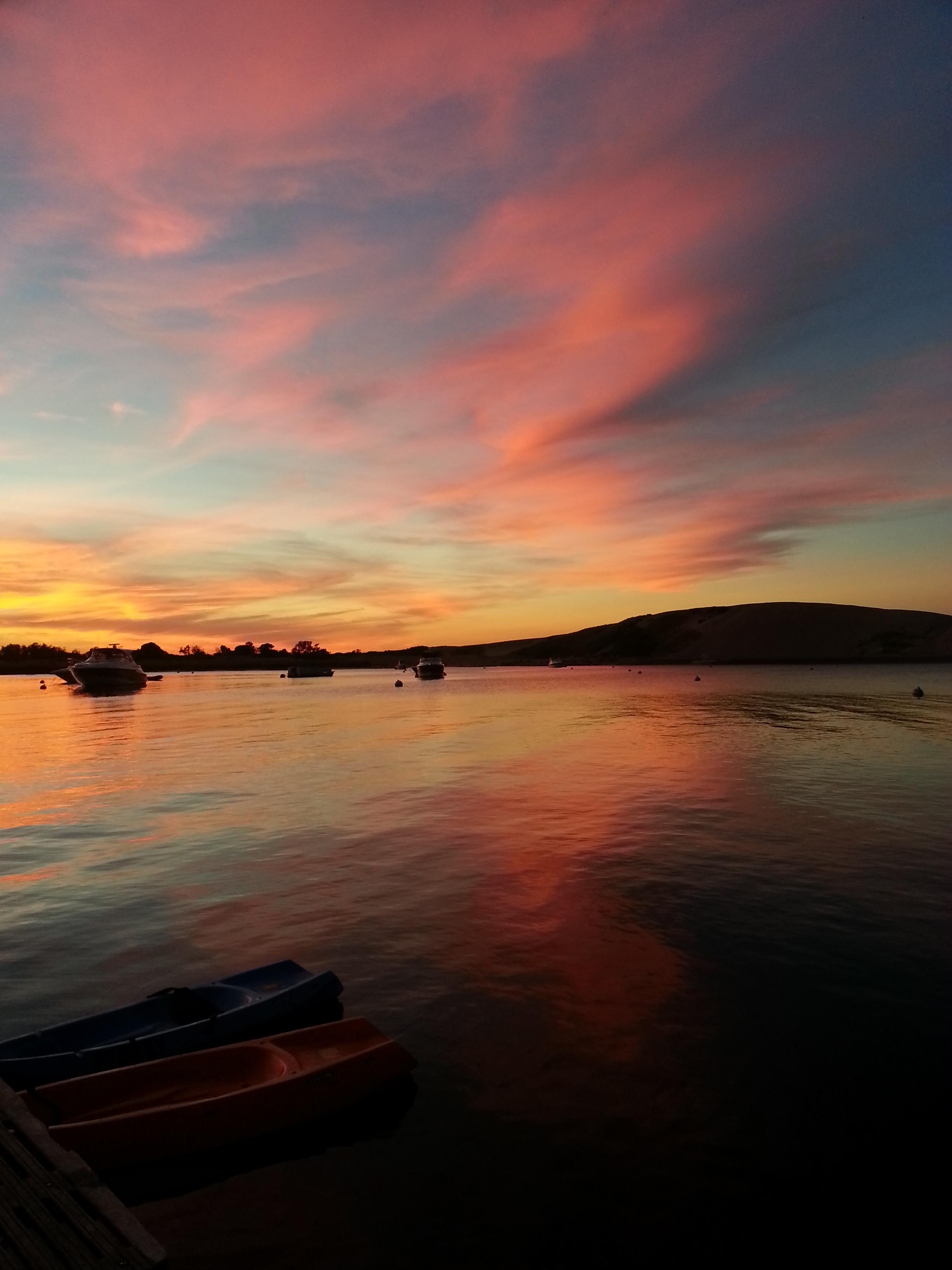 Tracy Toth (ttoth) profile | Padlet